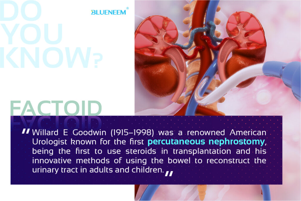 PCN Set - Pigtail With Locking Mechanism| Blueneem