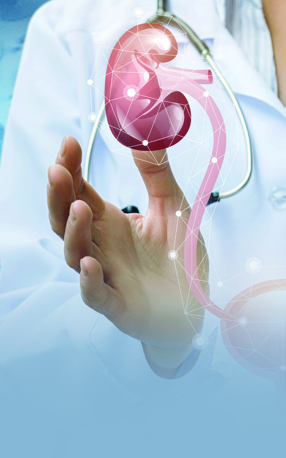 Urology MedTech Devices| Blueneem