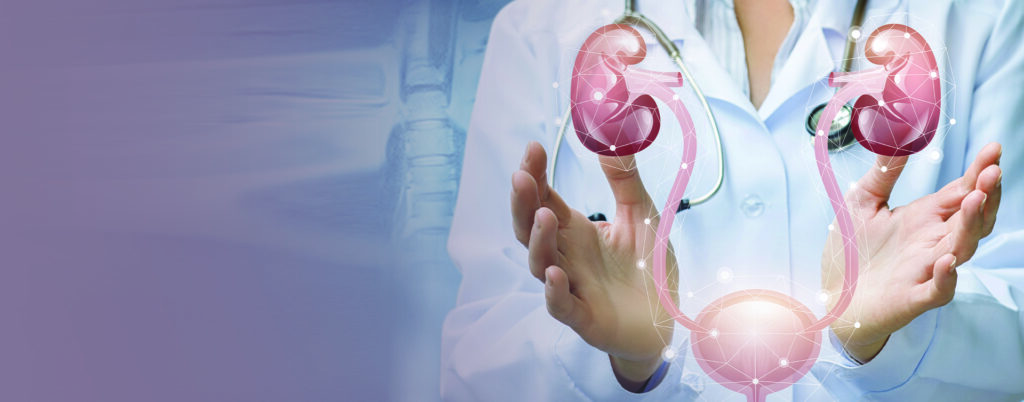 Urology MedTech Devices| Blueneem